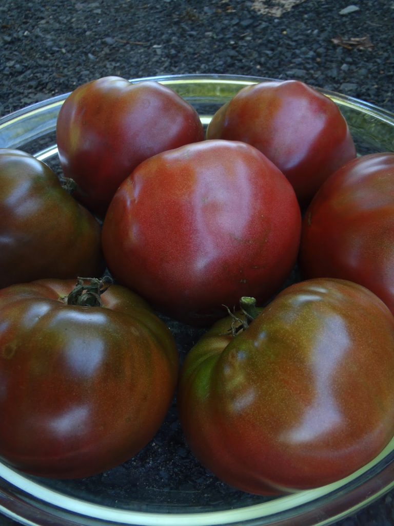 Tomate Noire de Crimée SEMENCES - Le potager ornemental de Catherine