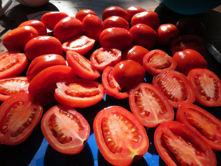 Tomato Debarao SEEDS - Le potager ornemental de Catherine
