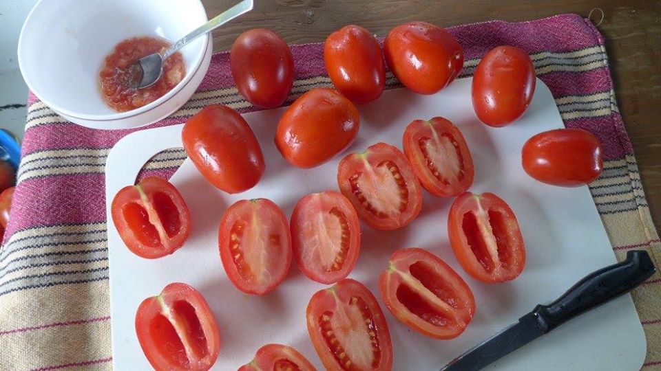 Tomate Debarao SEMENCES - Le potager ornemental de Catherine