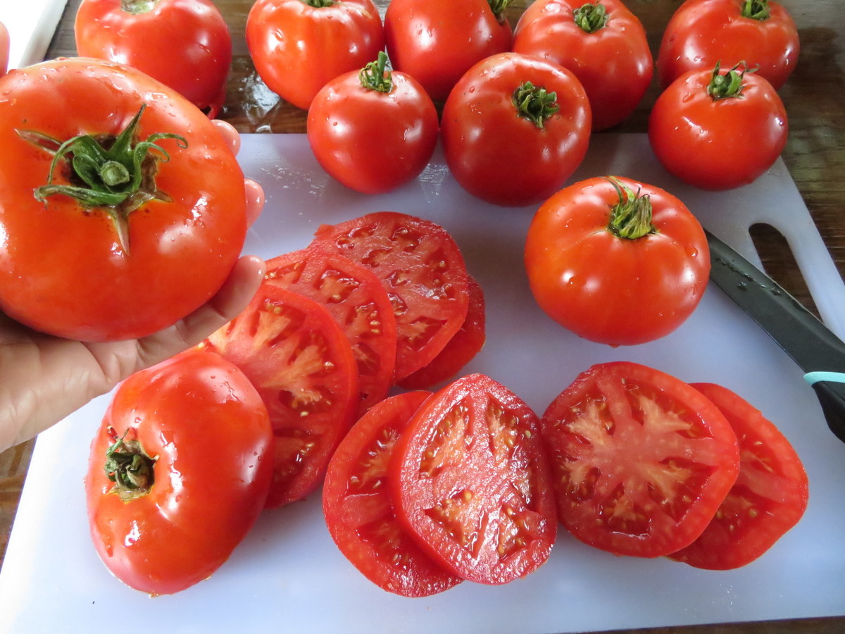 Tomate Red Brandywine - SEMENCES Le potager ornemental de Catherine