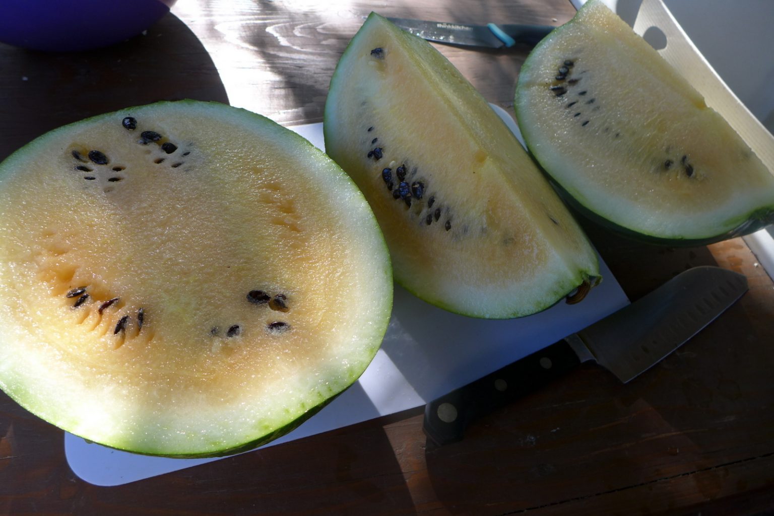 Melon d'eau Gros Orange SEMENCES - Le potager ornemental de Catherine