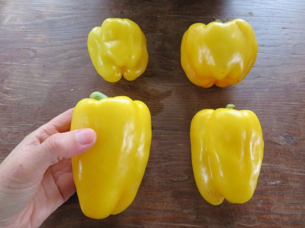 Sweet pepper Yellow mix - SEEDS Le potager ornemental de Catherine