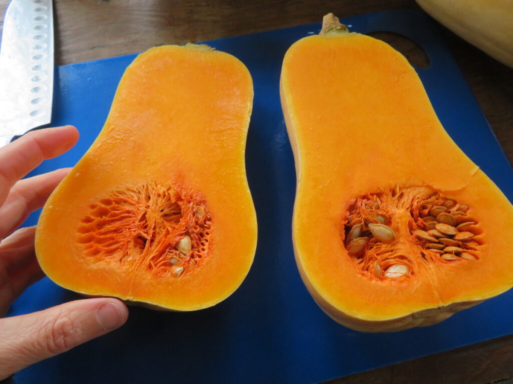 Squash Butterpaq mix SEEDS - Le potager ornemental de Catherine
